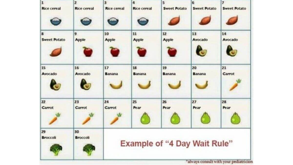 Jadual Pemakanan Bayi 6 Bulan - Jenis, Jumlah Makanan Yang Sesuai