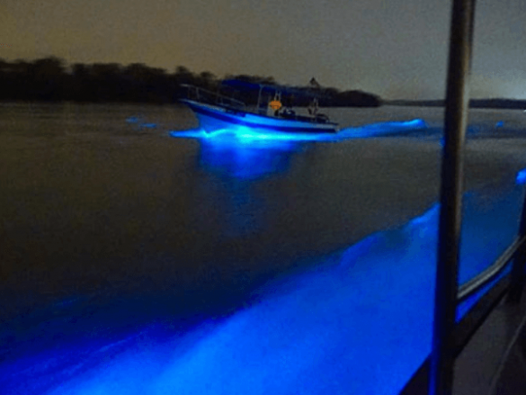 10 Tempat Menarik di Kuala Selangor (Aktiviti Percutian Best)