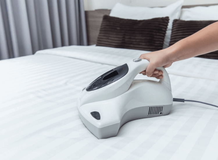 Cara Hapuskan Pepijat Untuk Keselesaan Seisi Keluarga (2024)