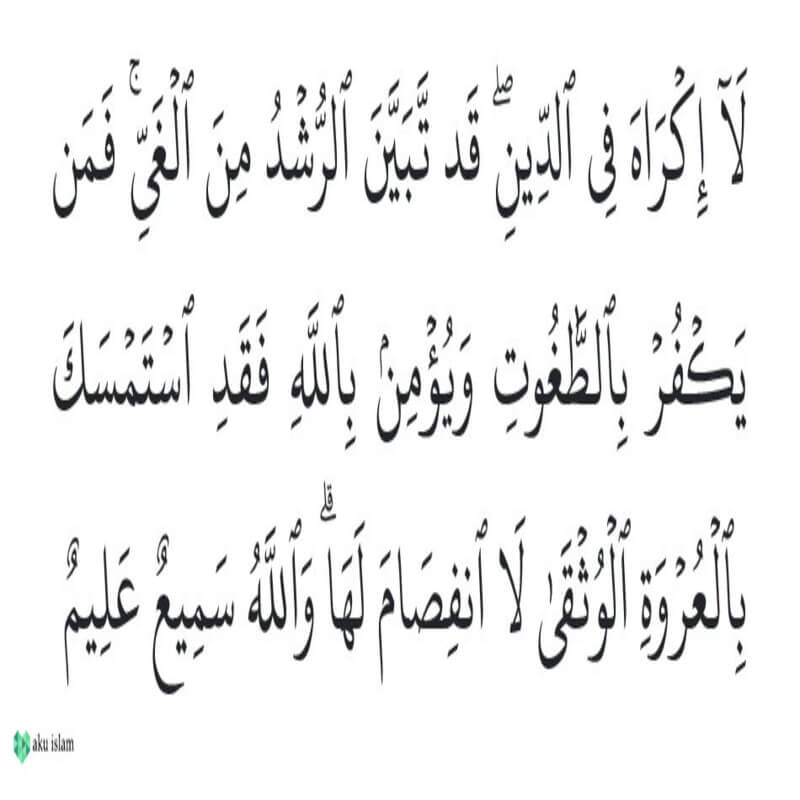 Doa Mathurat: Amalkan Setiap Pagi & Petang, Rasai Perubahan Positif