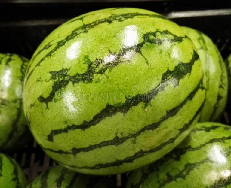 8 Cara Pilih Tembikai Manis dan Ranum Untuk Mama! (2025)