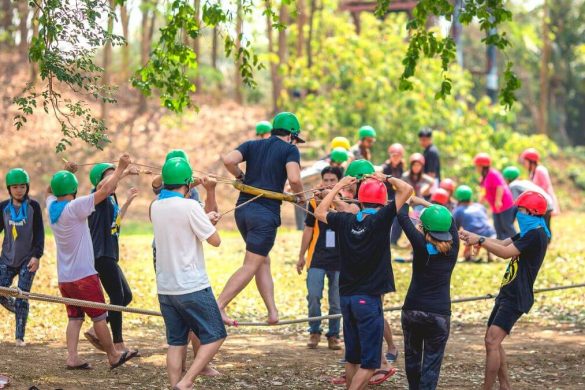 8 Jenis Jubin Mozek Bilik Air dan Tips Pilih Mozek Berkualiti (2024)