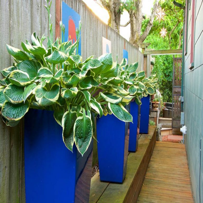 7 Idea Susun Atur Pasu Bunga di Halaman Rumah Agar Lebih Menarik