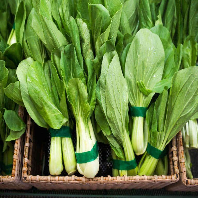 10 Sayur Untuk Ibu Berpantang Yang Bantu Pulih Kesihatan Mama (2026)