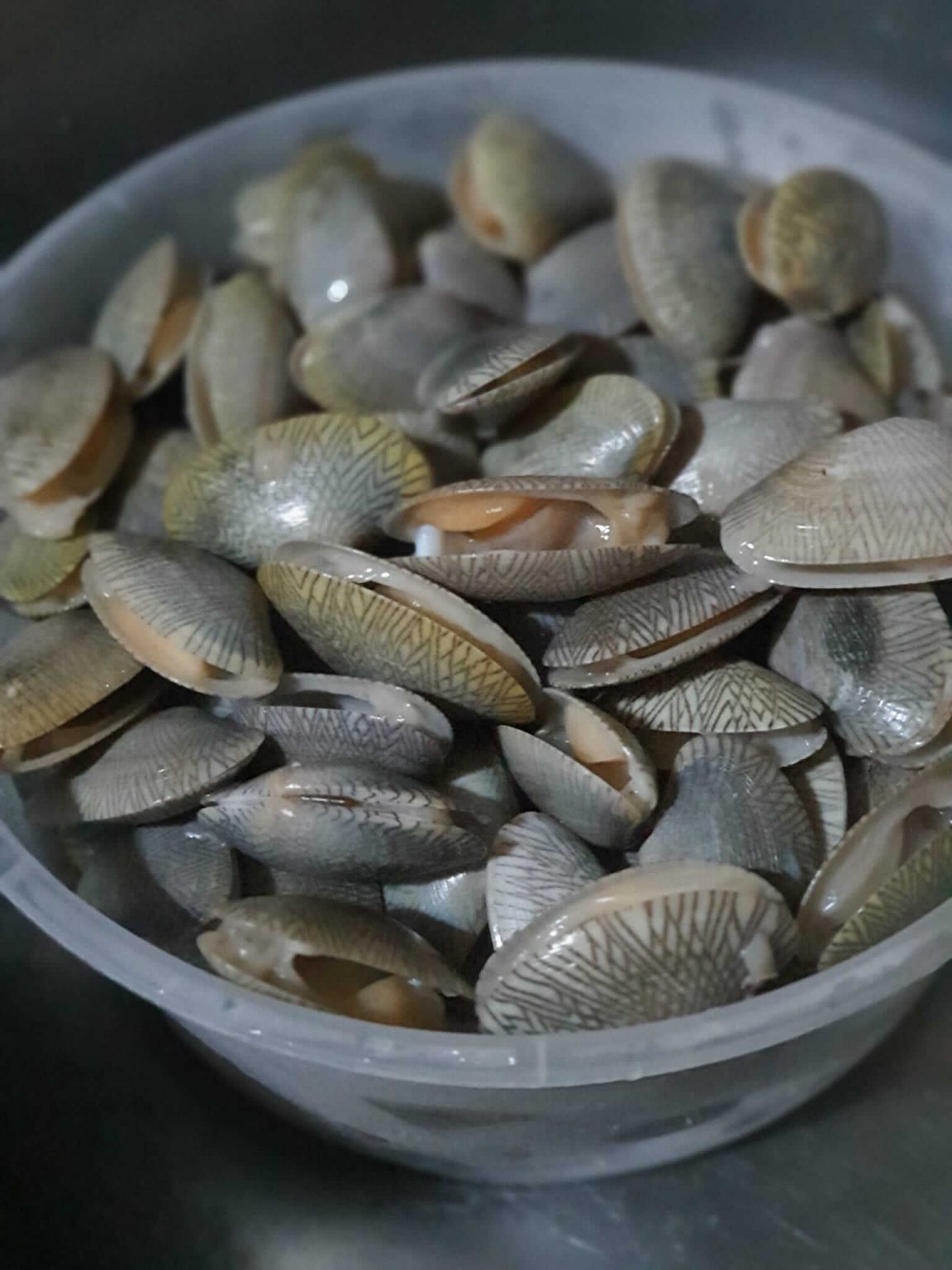 Pelbagai Cara Bersihkan Lala Yang Berpasir, Lumpur dan Hanyir (2025)