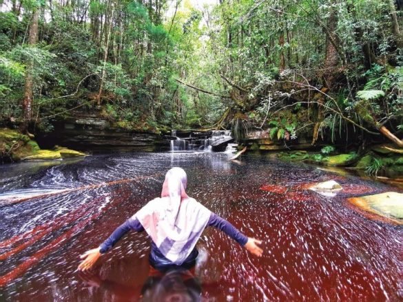 20 Tempat Menarik di Tawau, Sabah Yang Anda Wajib Kunjungi (2026)