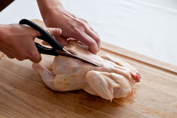 8 Jenis Jubin Mozek Bilik Air dan Tips Pilih Mozek Berkualiti (2024)