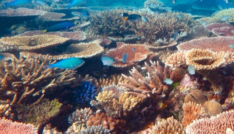 11 Pulau di Perak Ada Banyak Aktiviti Air dan Alam Semula Jadi! (2025)