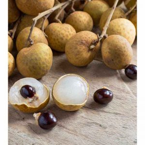 Mata Kucing Vs Longan: Nampak Sama, Tapi Bukan Dia (2026)