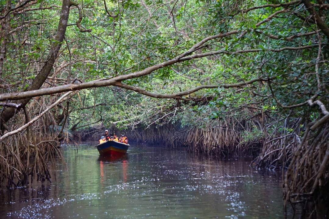 Tak Sangka! Cherating Ada 25 Tempat Menarik Untuk Aktiviti Seisi Keluarga