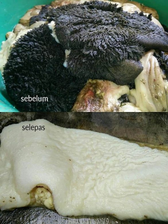 Tak Perlu Kikis Lagi! 3 Cara Betul Cuci Perut Lembu Yang 'Effortless'