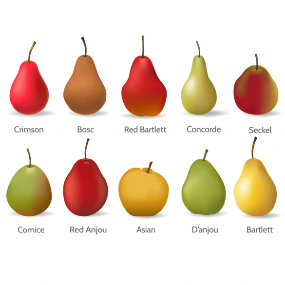 Banyak Rupanya! 15 Khasiat Buah Pear Pada Kesihatan Yang Ramai Tak Tahu