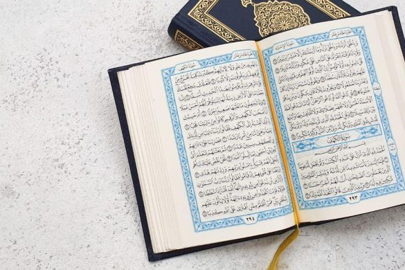 8 Jenis Jubin Mozek Bilik Air dan Tips Pilih Mozek Berkualiti (2025)