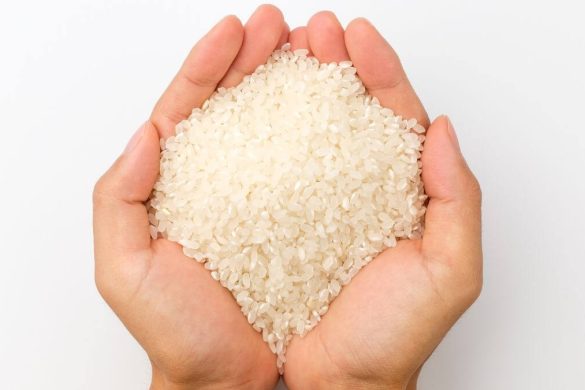 Jelajah 13 Tempat Menarik di Gerik, Perak - May 2025 | KelabMama Malaysia