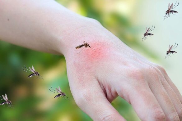 Lebih Hebat Berbanding Madu Biasa! 10 Khasiat Madu Kelulut Kepada Kesihatan Lebih Hebat Berbanding Madu Biasa! 10 Khasiat Madu Kelulut Kepada Kesihatan
