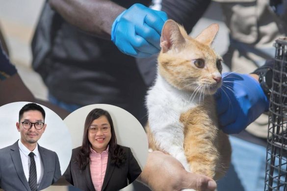 Mengapa Kita Boleh Menjangkiti Kayap Ular? Memahami "Herpes Zoster"